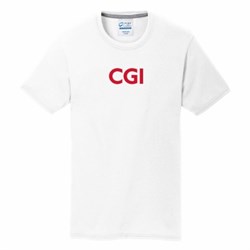 CGI Swag Store