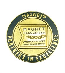 Shop ANA | Lapel Pins